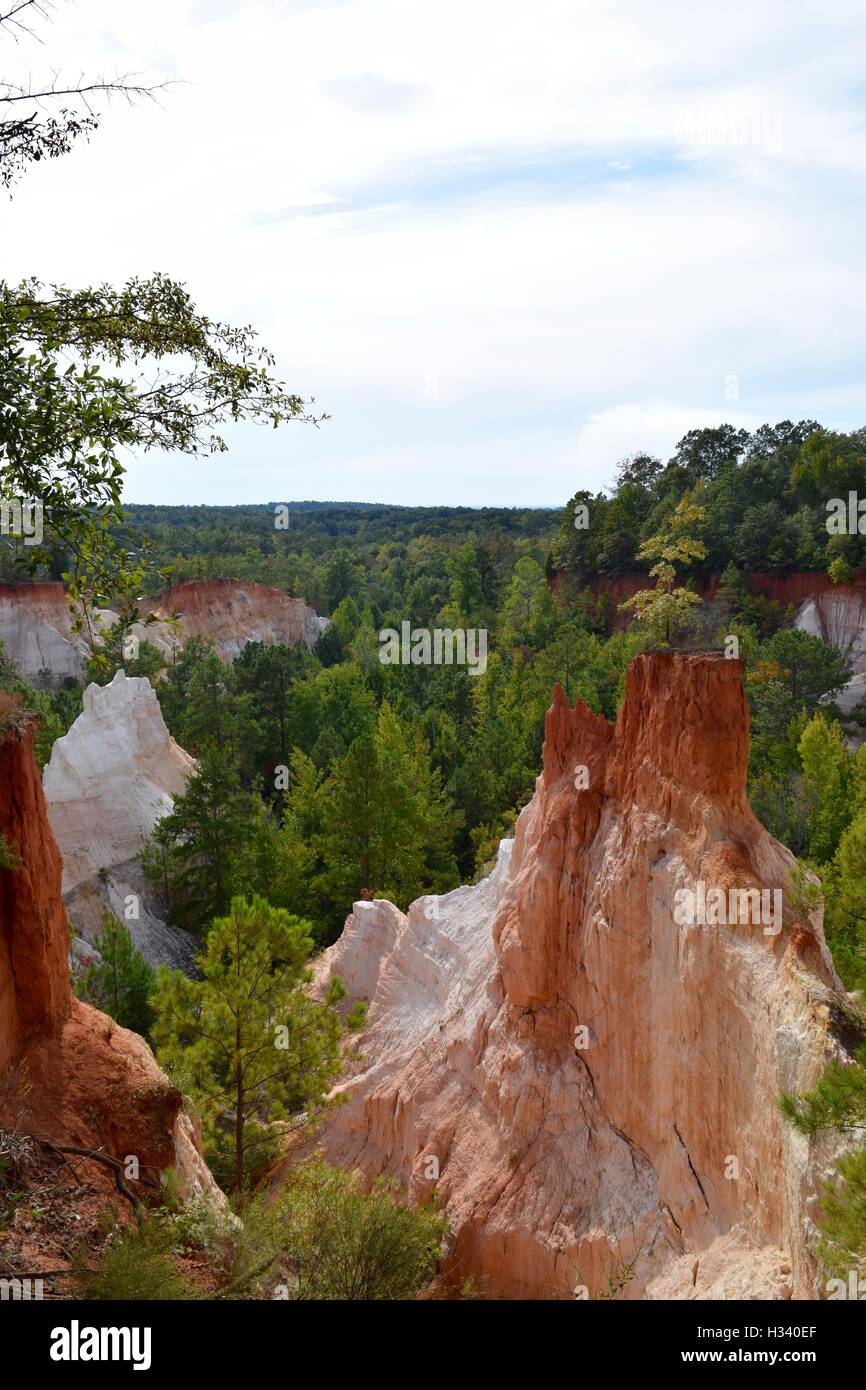 Red Clay- Providence Canyon in South Georgia Stock Photo - Alamy