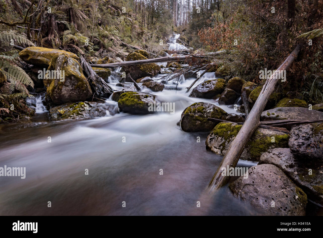 Kepple hi-res stock photography and images - Alamy