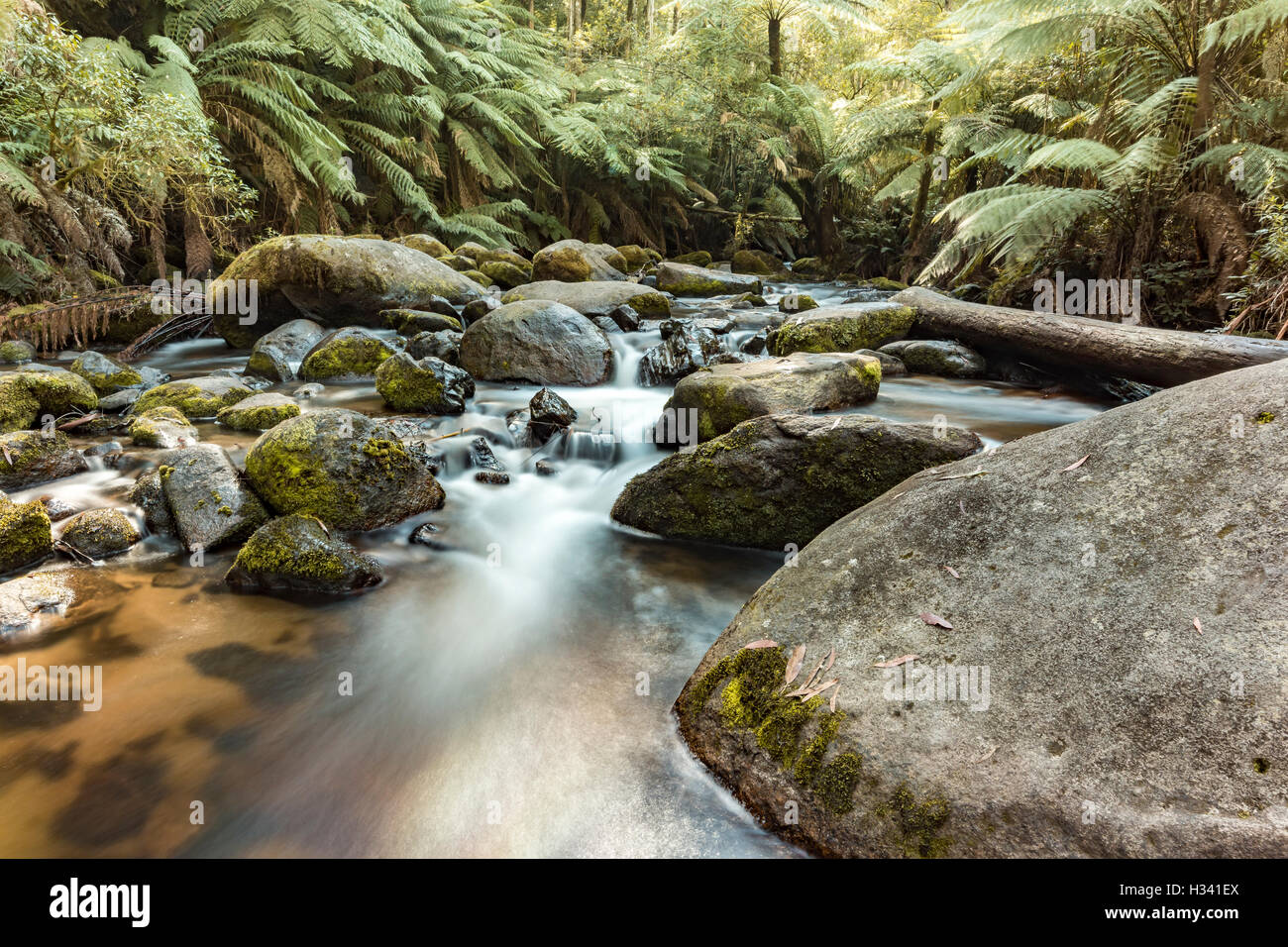Moss rocks river australia hi-res stock photography and images - Alamy