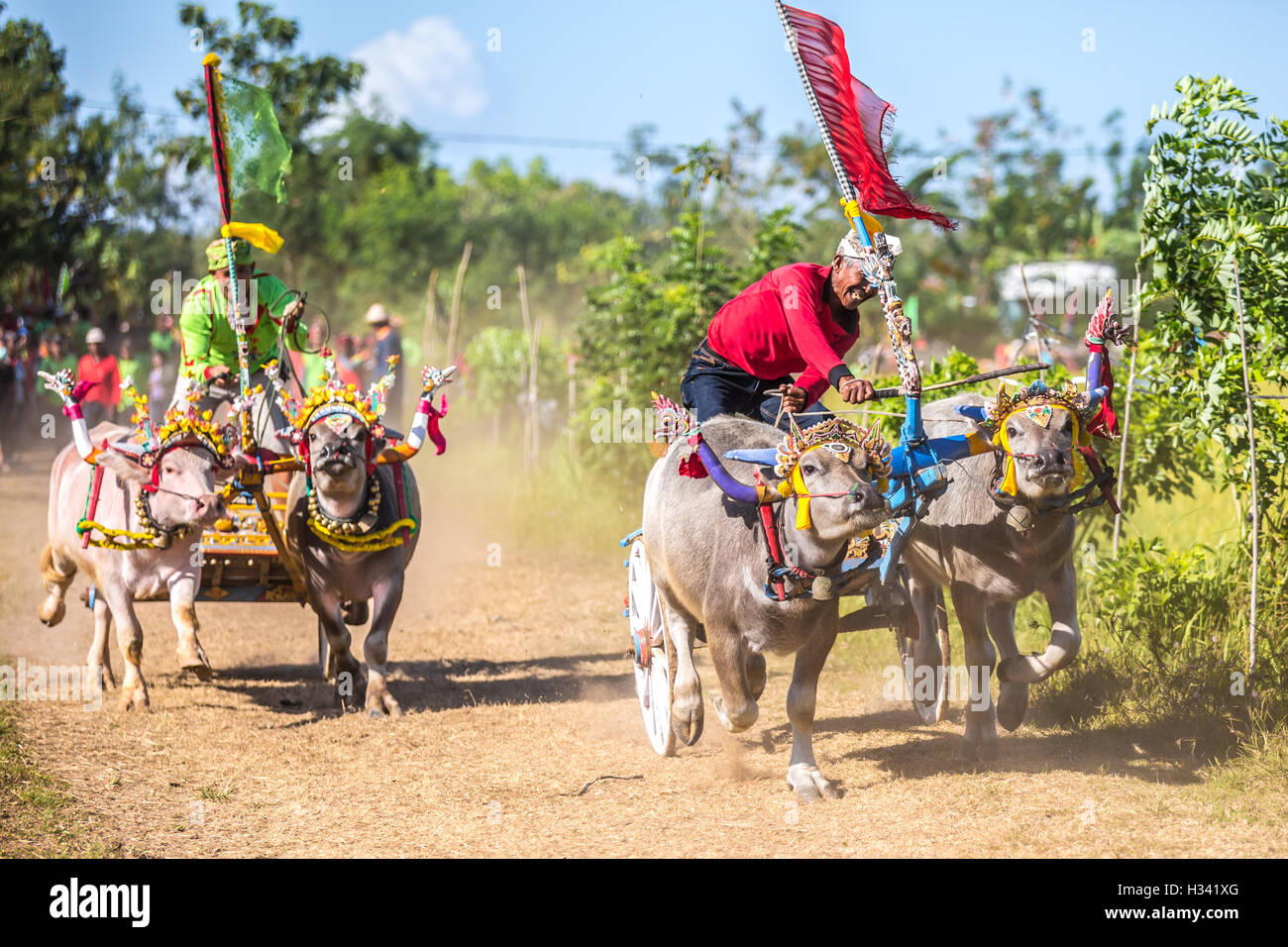 Mekepung hi-res stock photography and images - Alamy