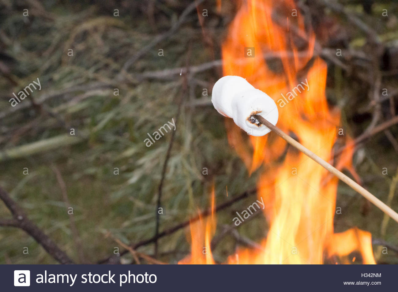 Toasting Marshmallows Fire Stock Photos & Toasting Marshmallows Fire ...
