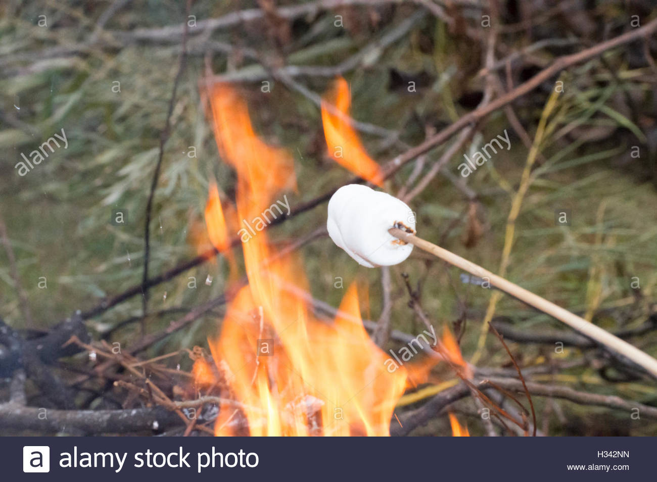 Toasting Marshmallows Fire Stock Photos & Toasting Marshmallows Fire ...