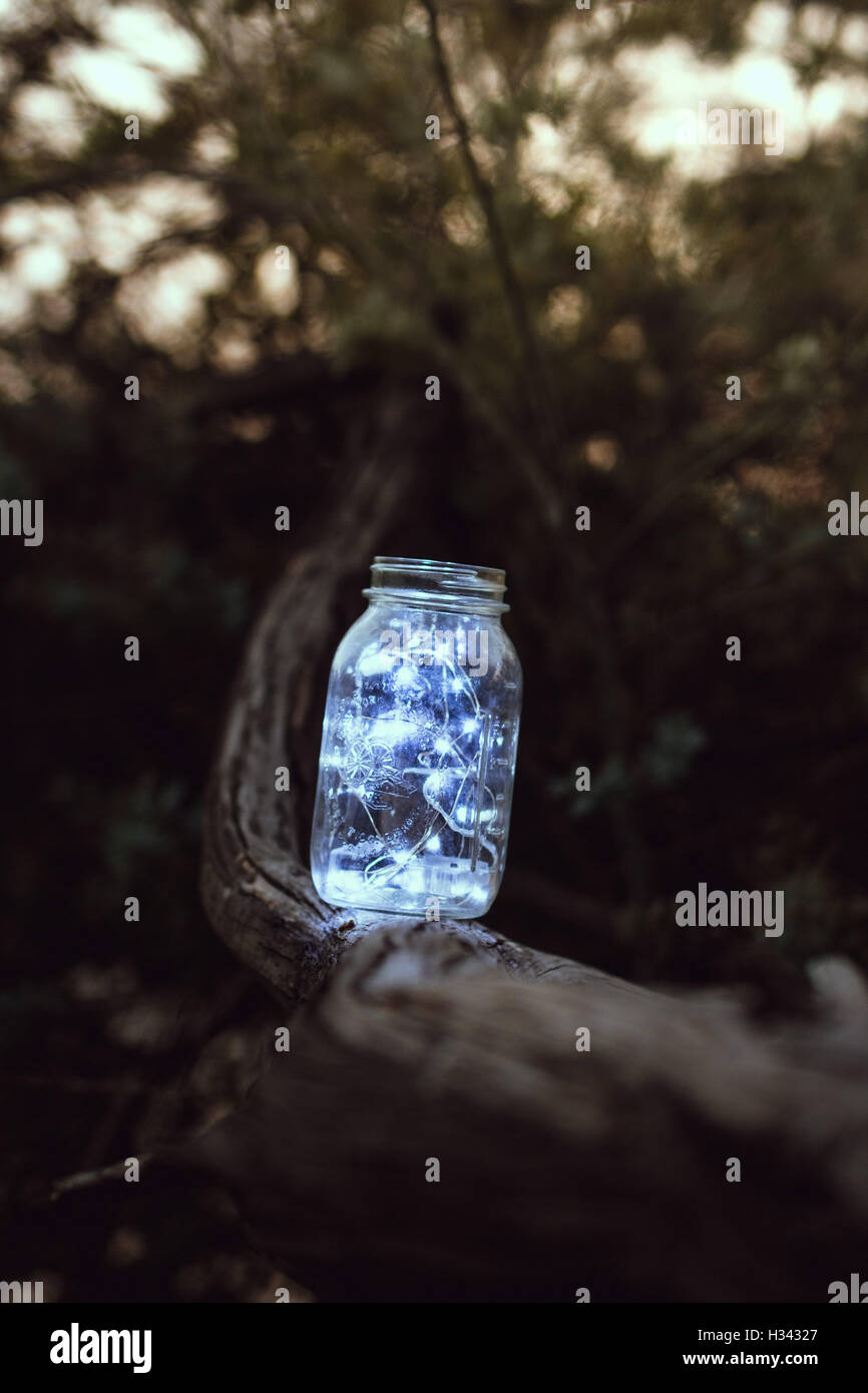 Lights on Log Stock Photo - Alamy