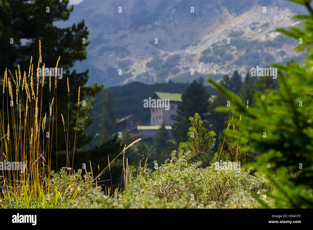 Little heaven hi-res stock photography and images - Alamy