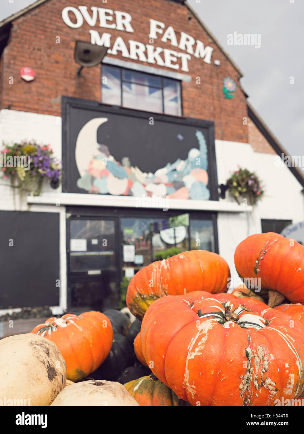 Pumpkins for sale at Over Farm Market Stock Photo - Alamy