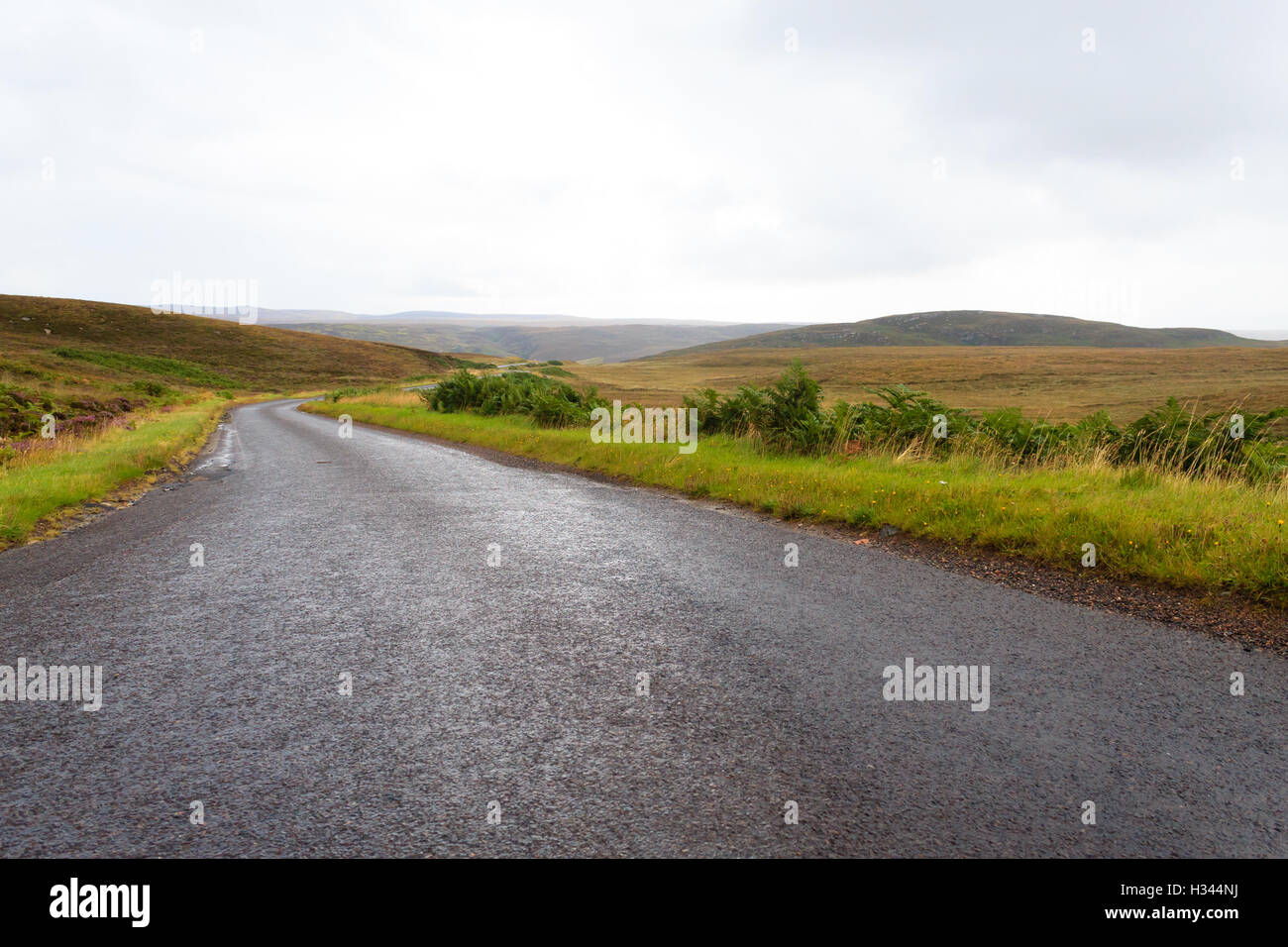 Scottish road trough countryside. Perspective road. Scotland panorama ...