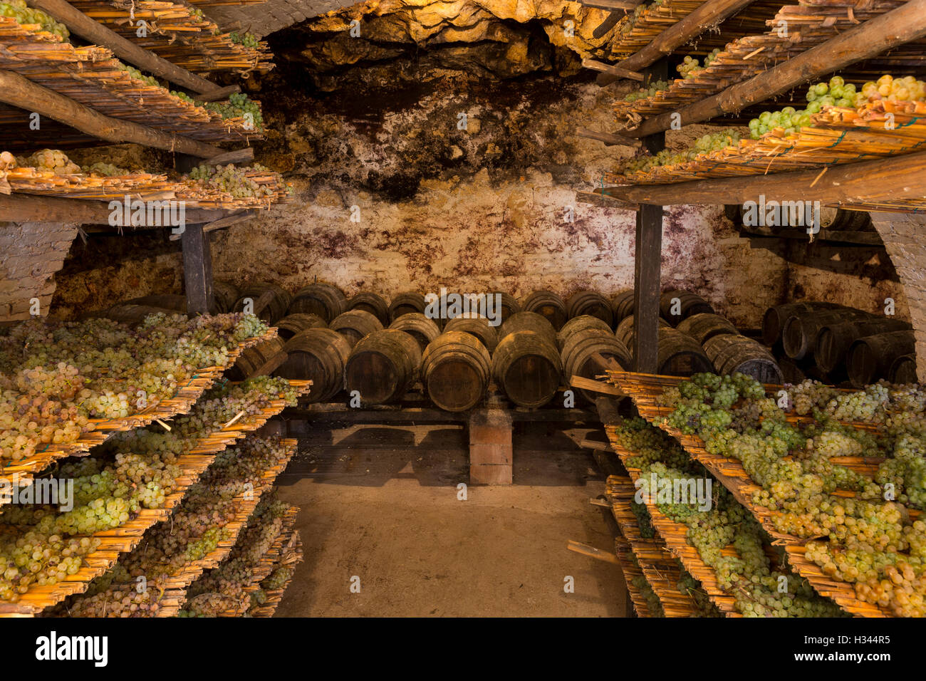 grape drying room Stock Photo - Alamy