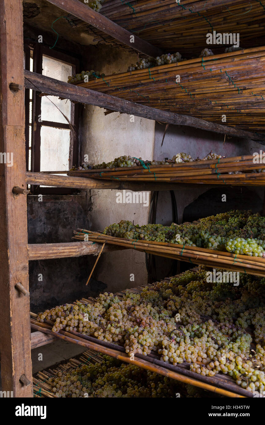 Raisin production process hi-res stock photography and images - Alamy