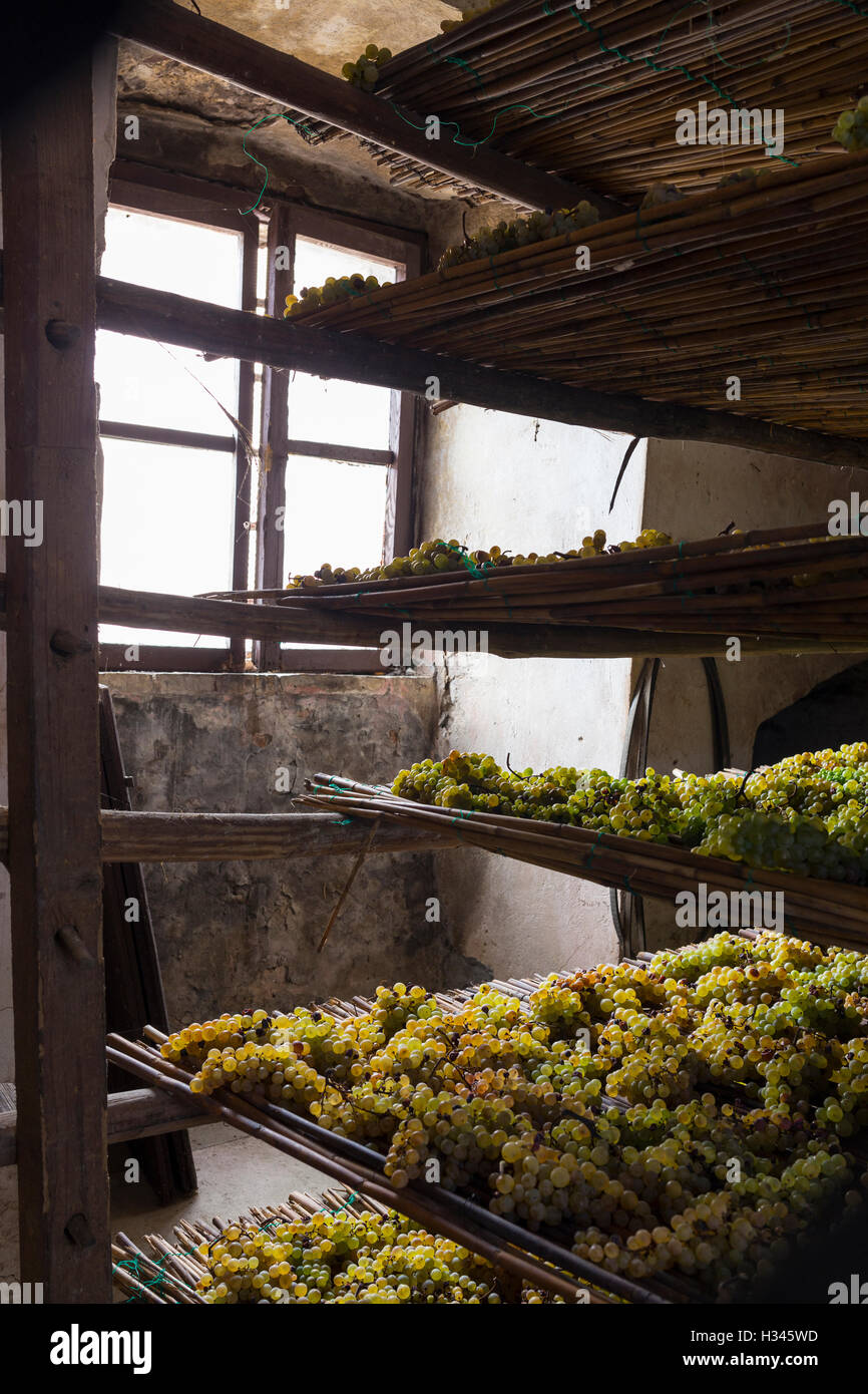Raisin production process hi-res stock photography and images - Alamy