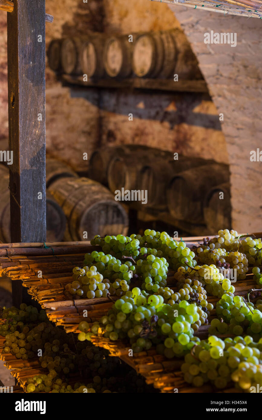 Vino passito hi-res stock photography and images - Alamy