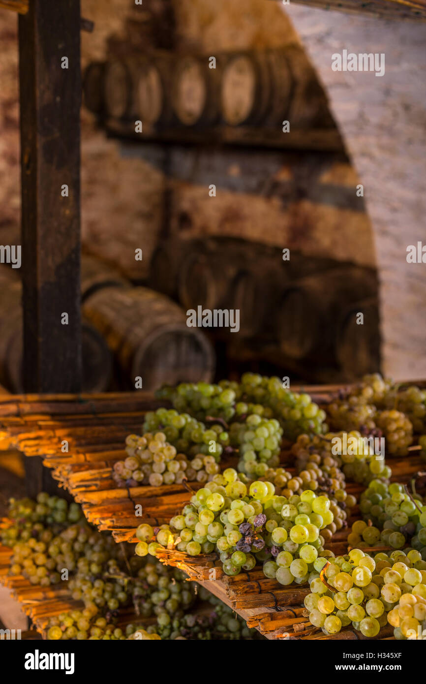 Raisin production process hi-res stock photography and images - Alamy