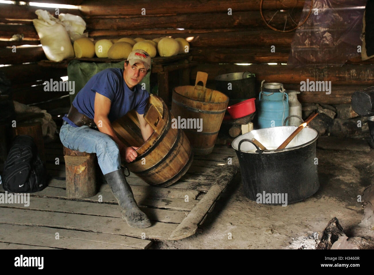 A Romanian sheep herder is processing milk into cheese at a sheepfold ...