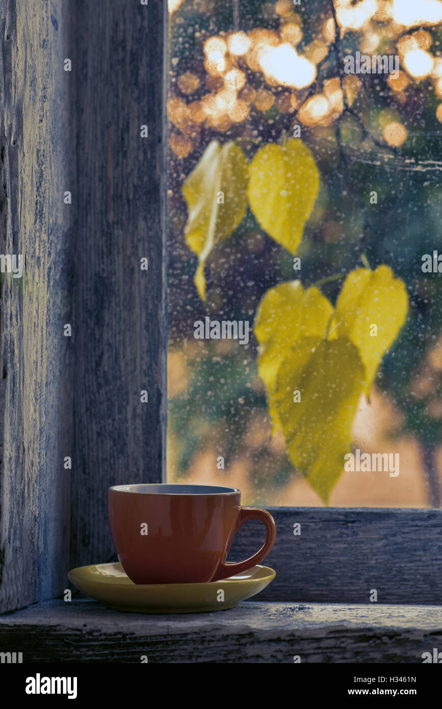 cup of coffee on a window sill in autumn Stock Photo - Alamy