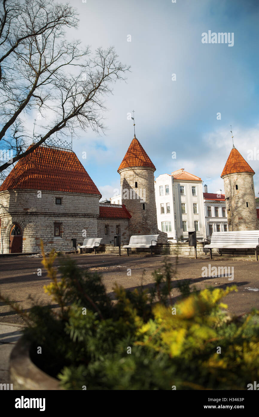 picturesque and very beautiful photos of Tallinn Stock Photo - Alamy
