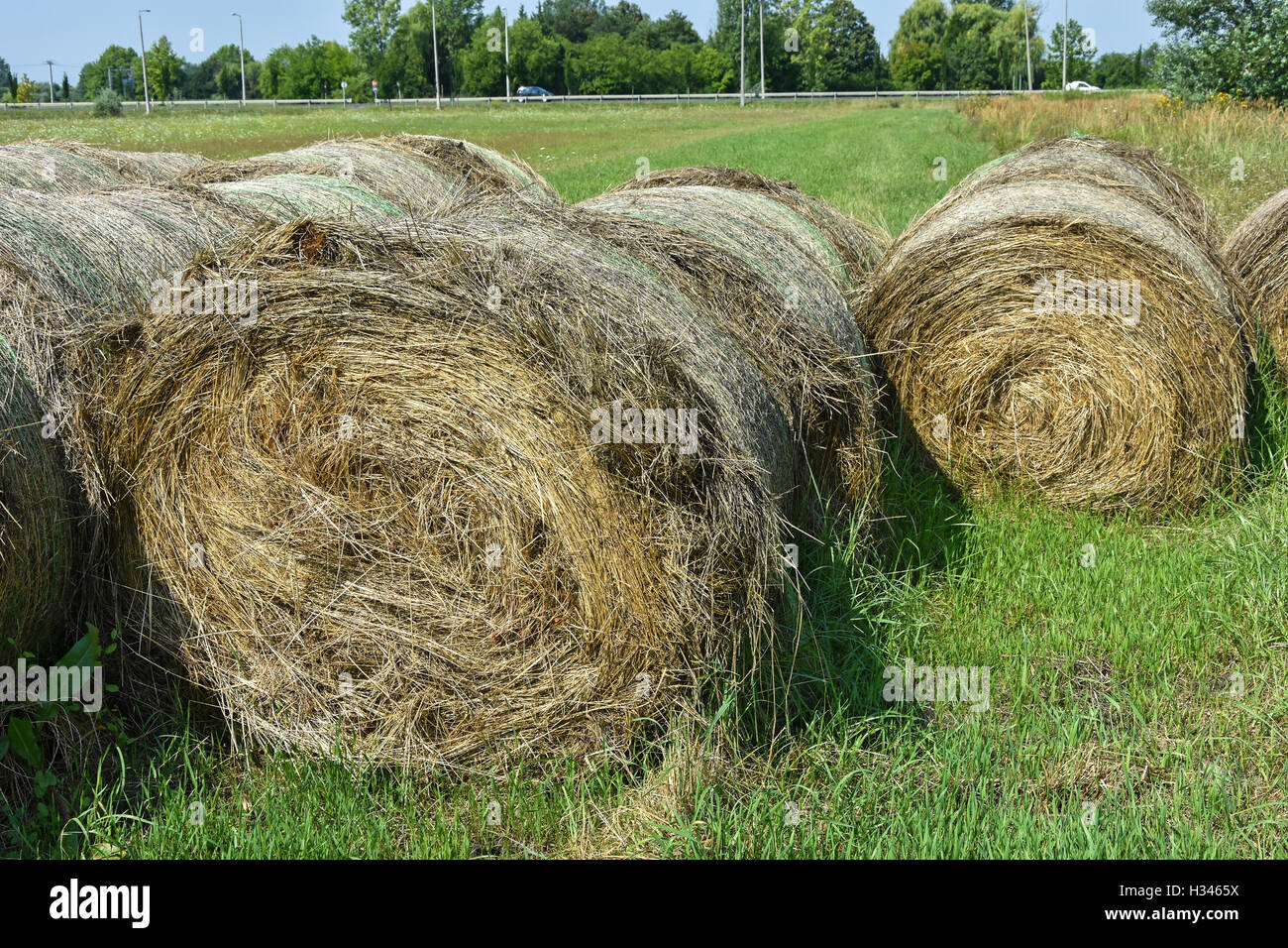 Stover bale hi-res stock photography and images - Alamy
