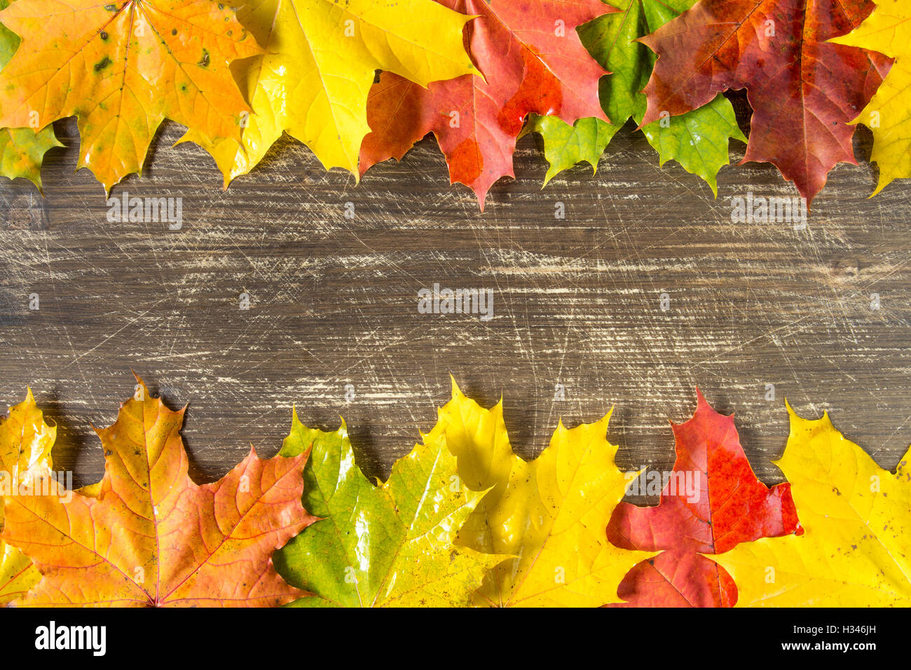 Colorful autumn leaves frame with wooden background for copy-space ...