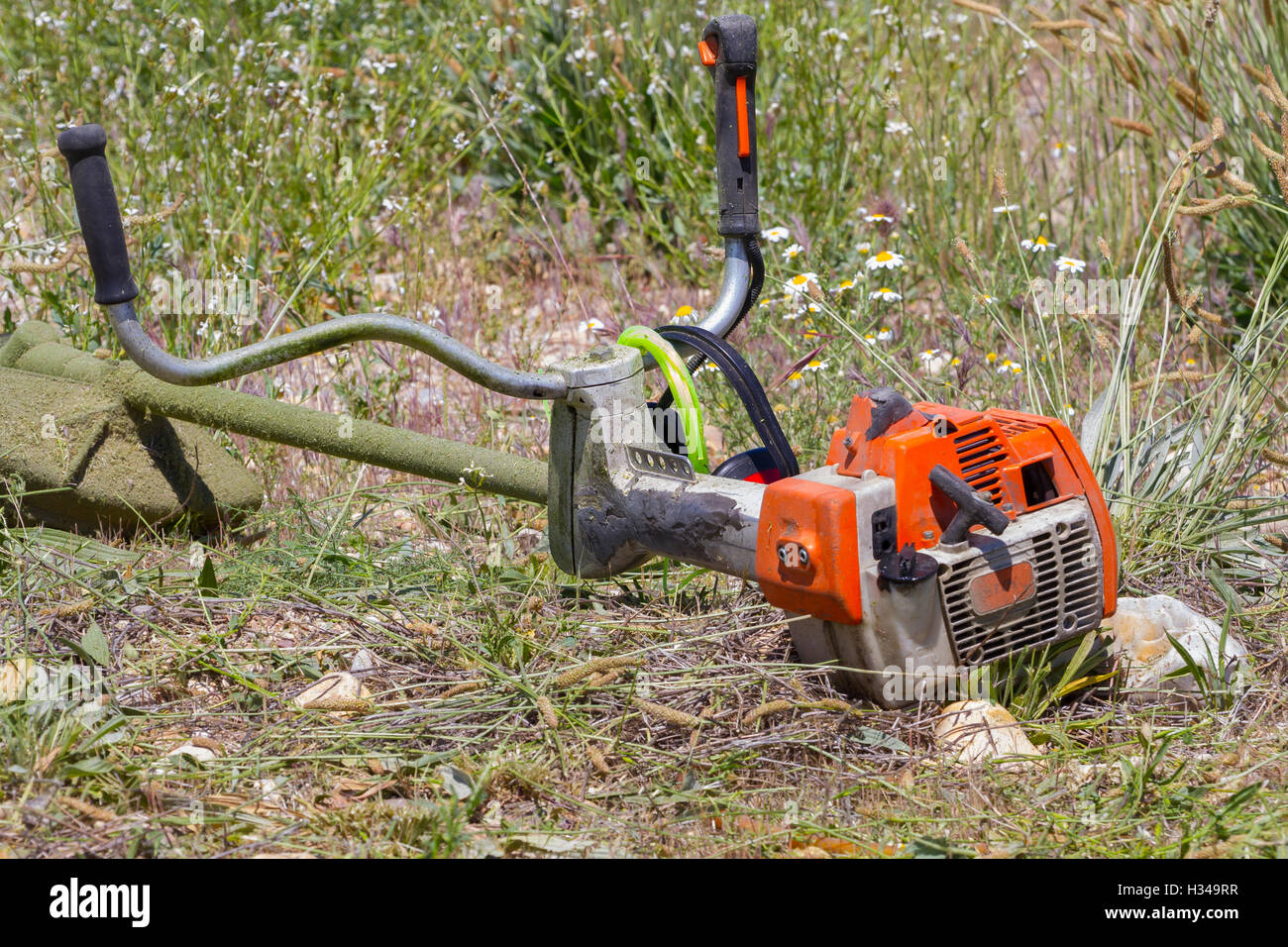 brush cutter, cutting weeds in a garden Stock Photo - Alamy