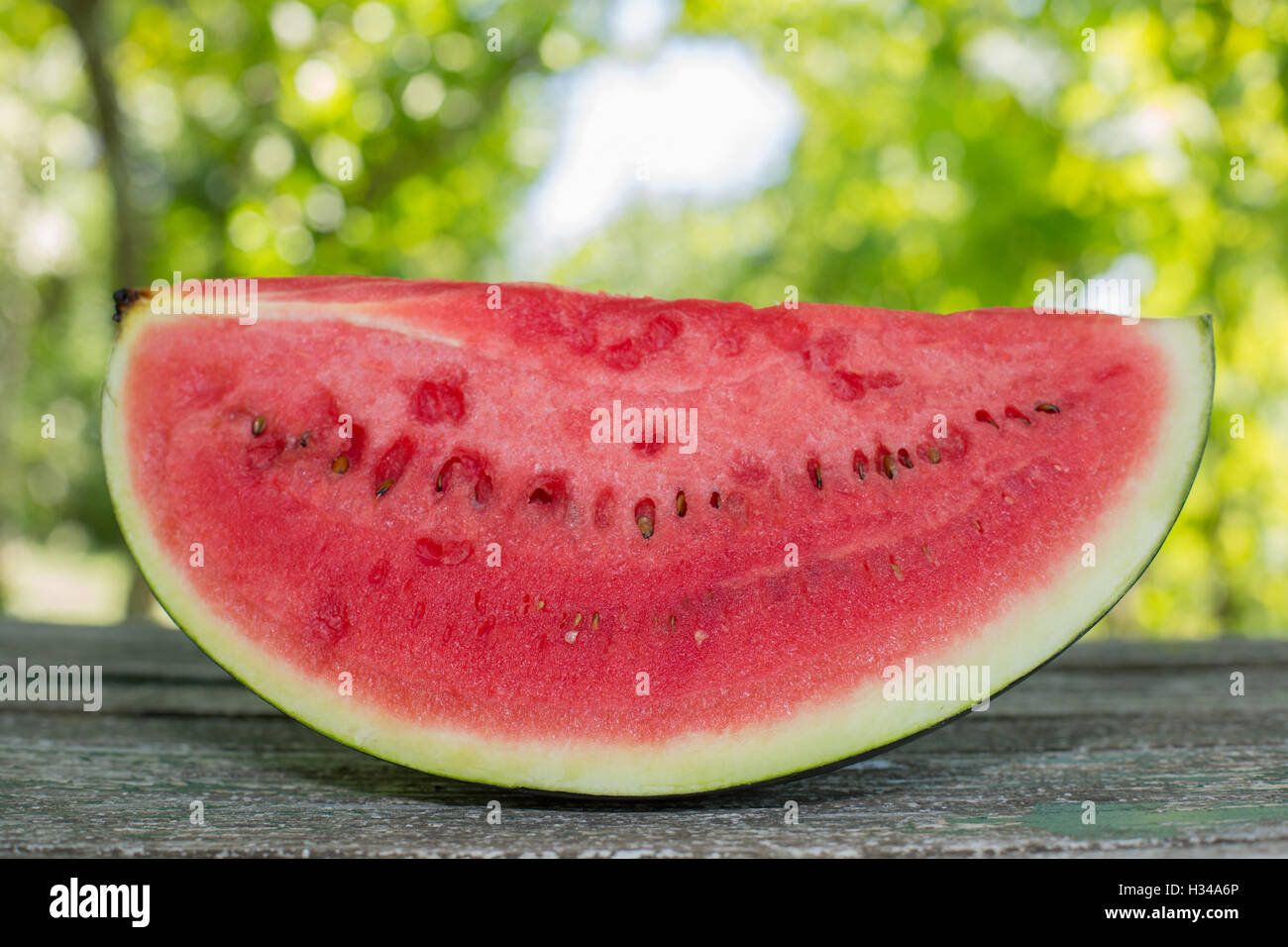 Fresh juicy watermelon against natural green background Stock Photo - Alamy