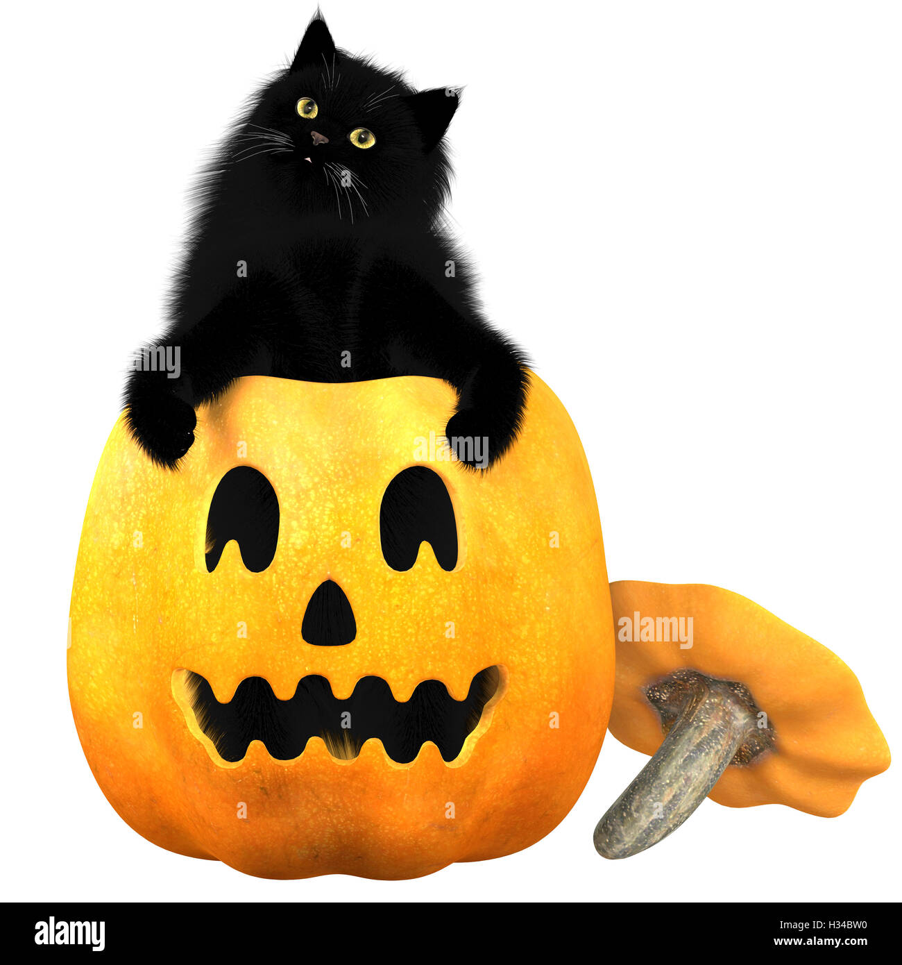 Black Cat and Halloween Stock Photo - Alamy
