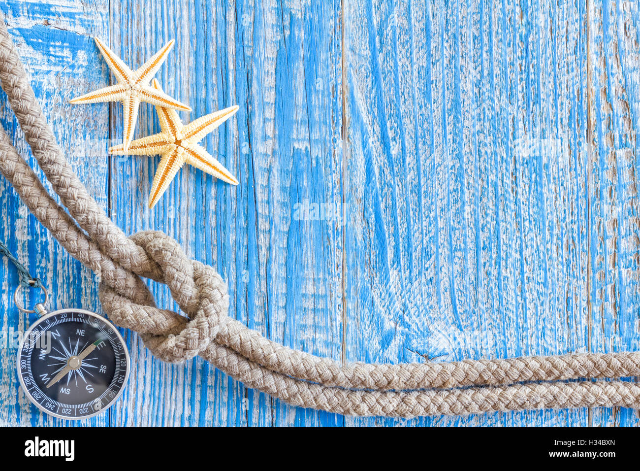 Sea shells and marine rope Stock Photo - Alamy