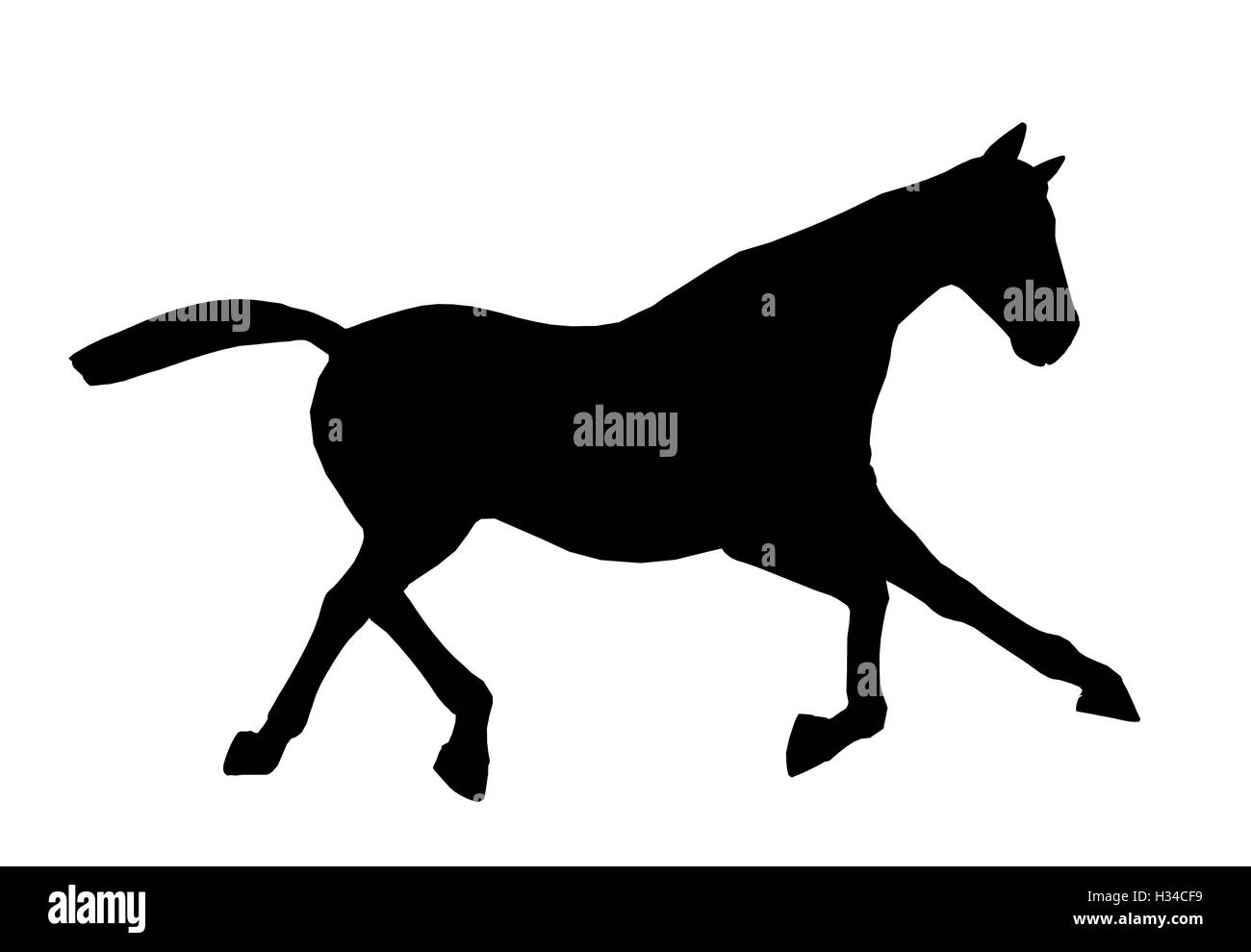 Colt horse Cut Out Stock Images & Pictures - Alamy