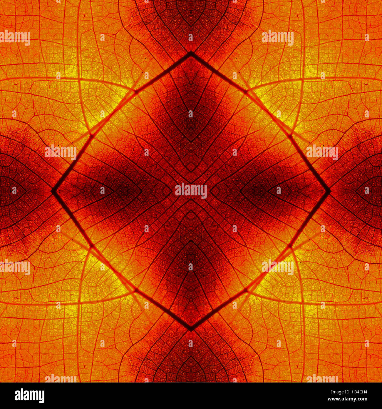 Abstract organic texture hi-res stock photography and images - Alamy