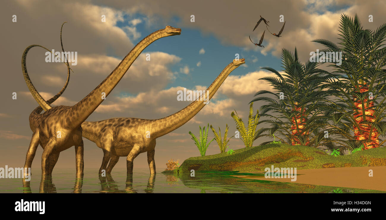 Diplodocus Dinosaur Romance Stock Photo - Alamy
