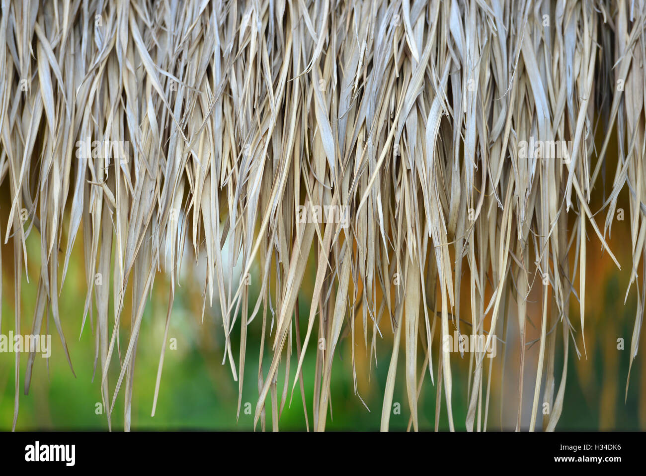 Straw roof background Stock Photo - Alamy