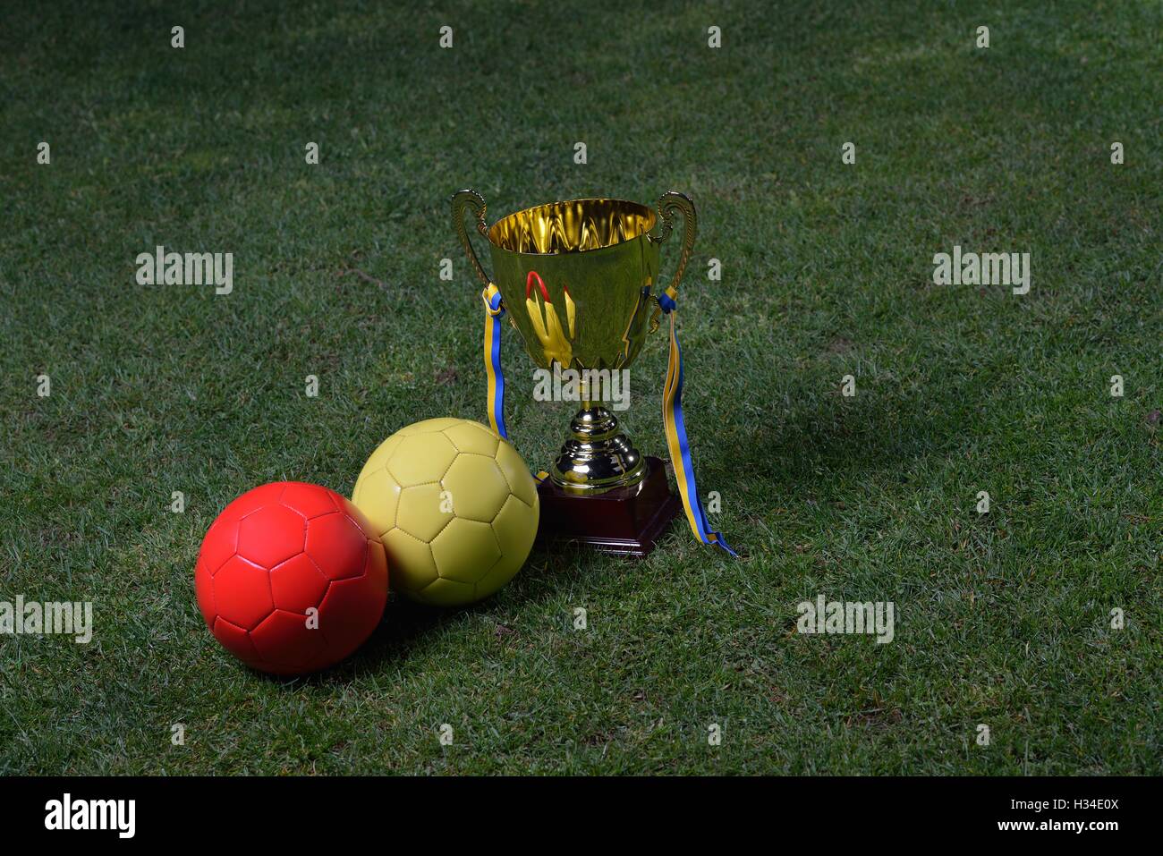 Celebrate with the first division championship trophy hi-res stock ...