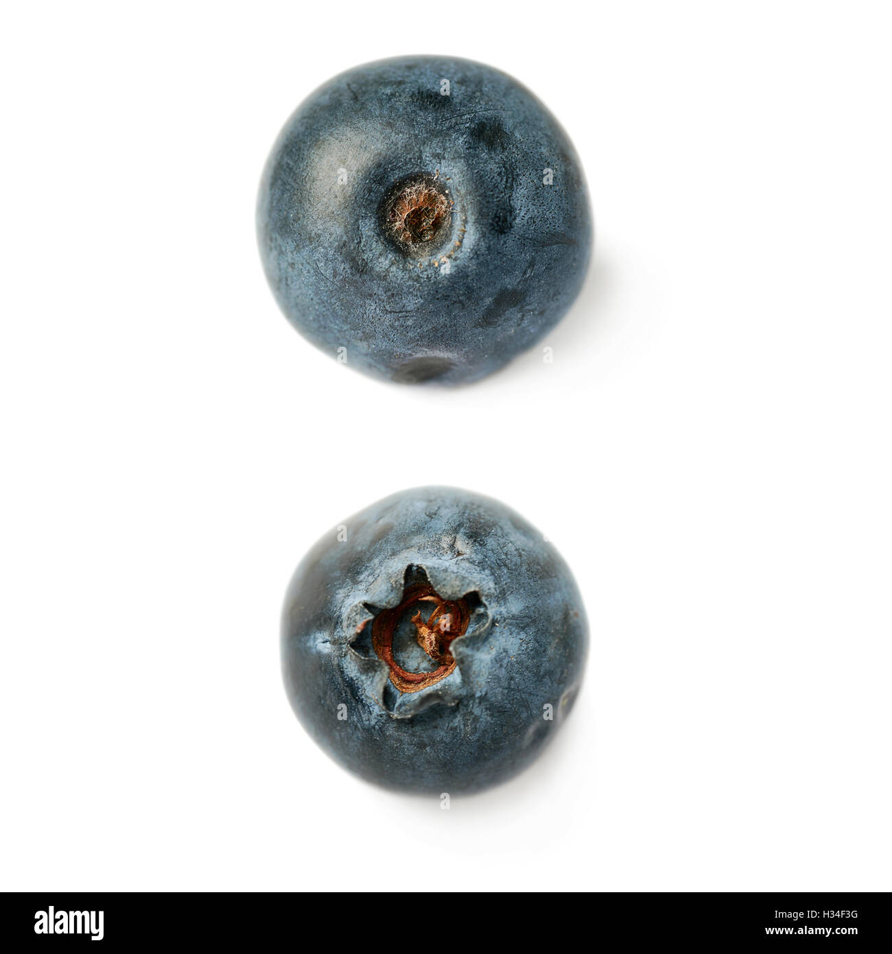 Set of Single berry of Bilberry or blueberry over isolated white ...