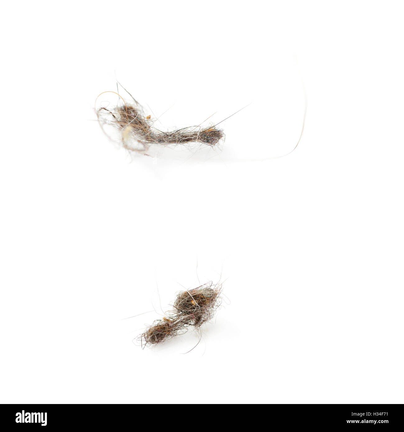 Set of Ball dust isolated over the white background, macro Stock Photo ...