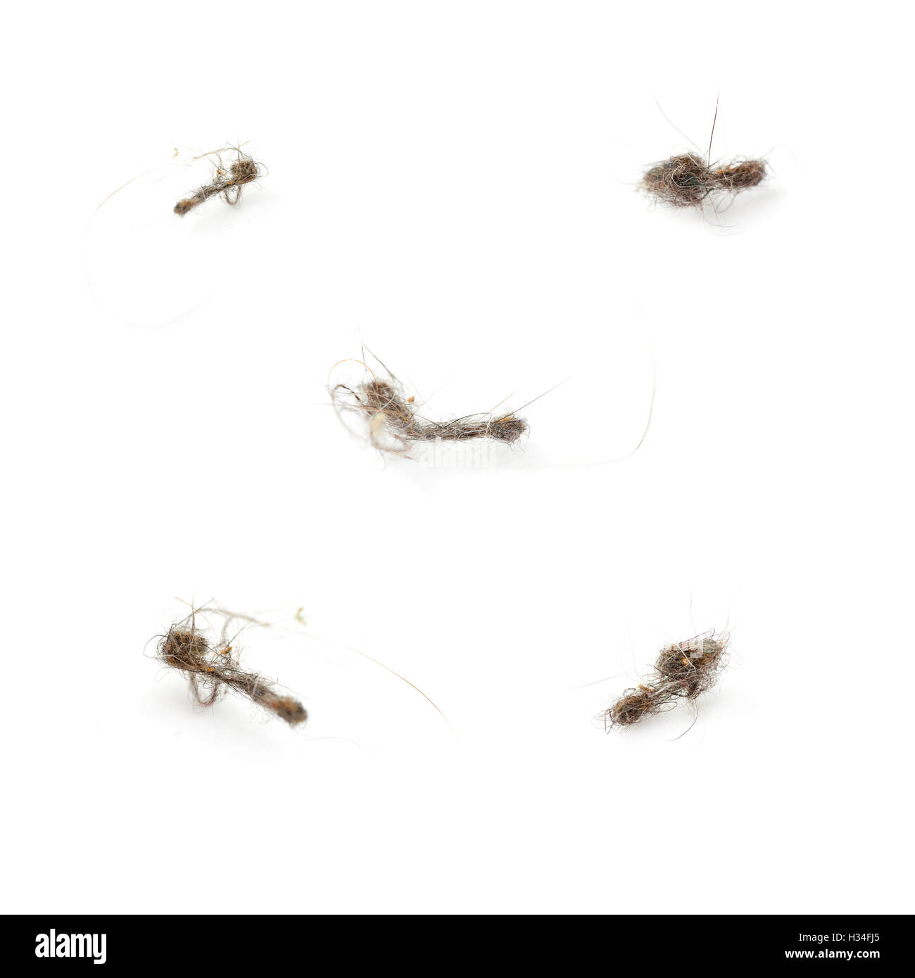 Set of Ball dust isolated over the white background, macro Stock Photo ...