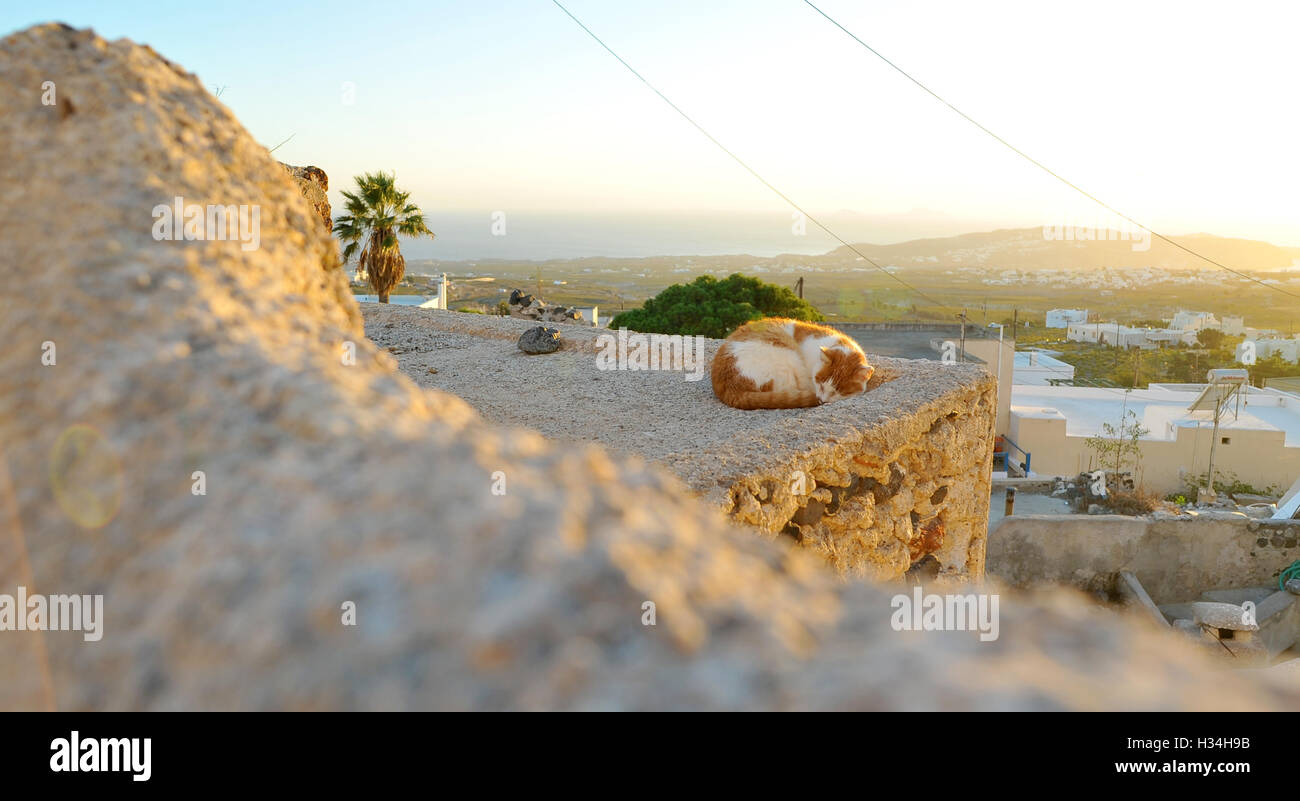 Nap time hi-res stock photography and images - Alamy