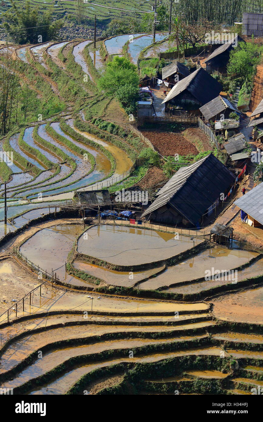 Terrace rice fields Stock Photo - Alamy