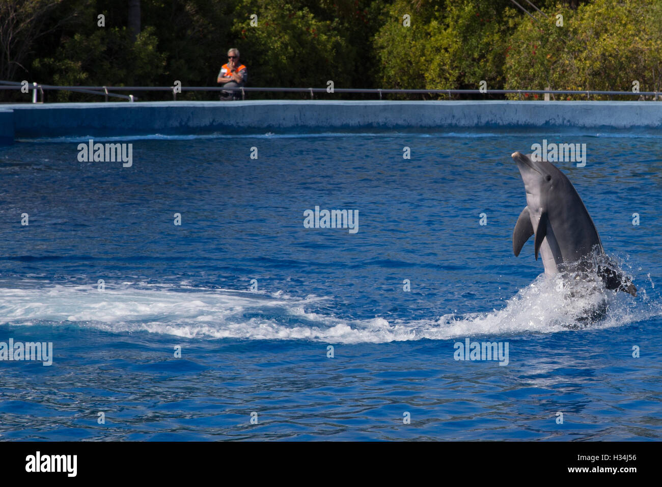 Valencia swimming pool hi-res stock photography and images - Alamy