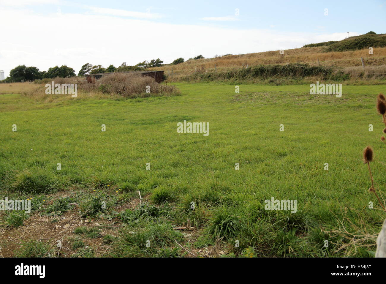 Mesolithic site hi-res stock photography and images - Alamy