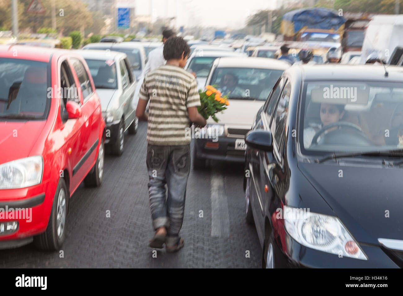 Man trying to sell selling flowers while cars are stationery at traffic ...
