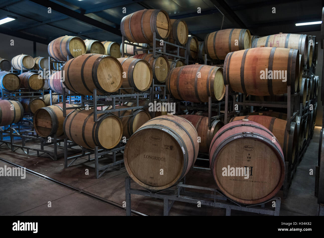 Maturation Cellar and Oak Barrels, Almenkerk Wine Estate, Elgin Valley ...