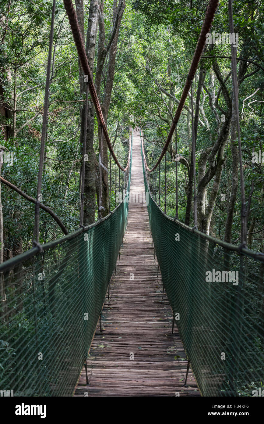 African suspension bridge hi-res stock photography and images - Alamy