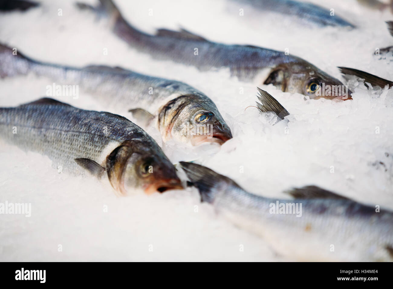 Raw delicious fresh fish on ice on market store shop. Dorado fish on ...