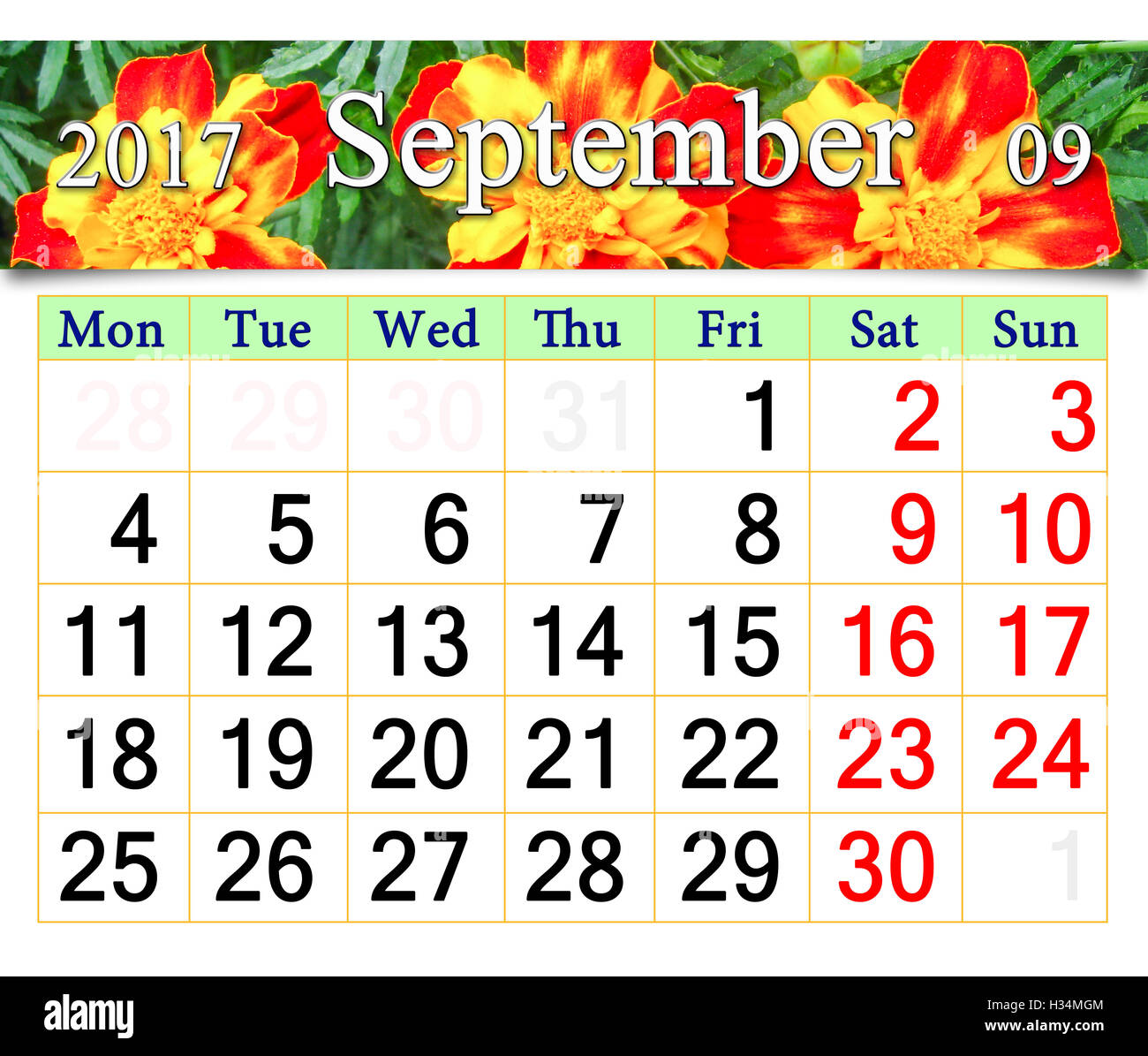 calendar for September 2017 with image of flowers of marigolds Stock ...
