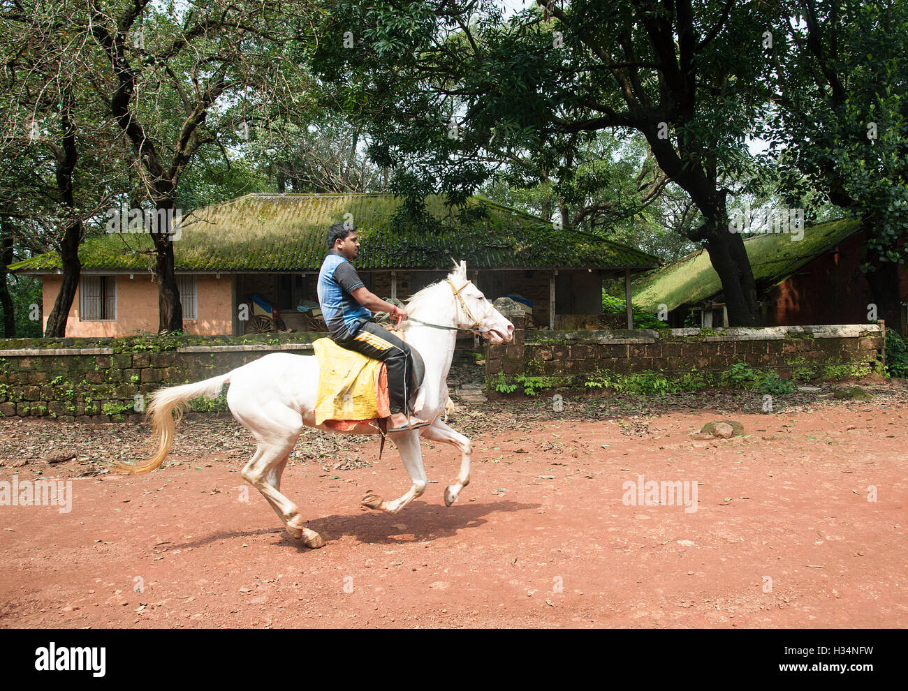 India horse ride hi-res stock photography and images - Alamy