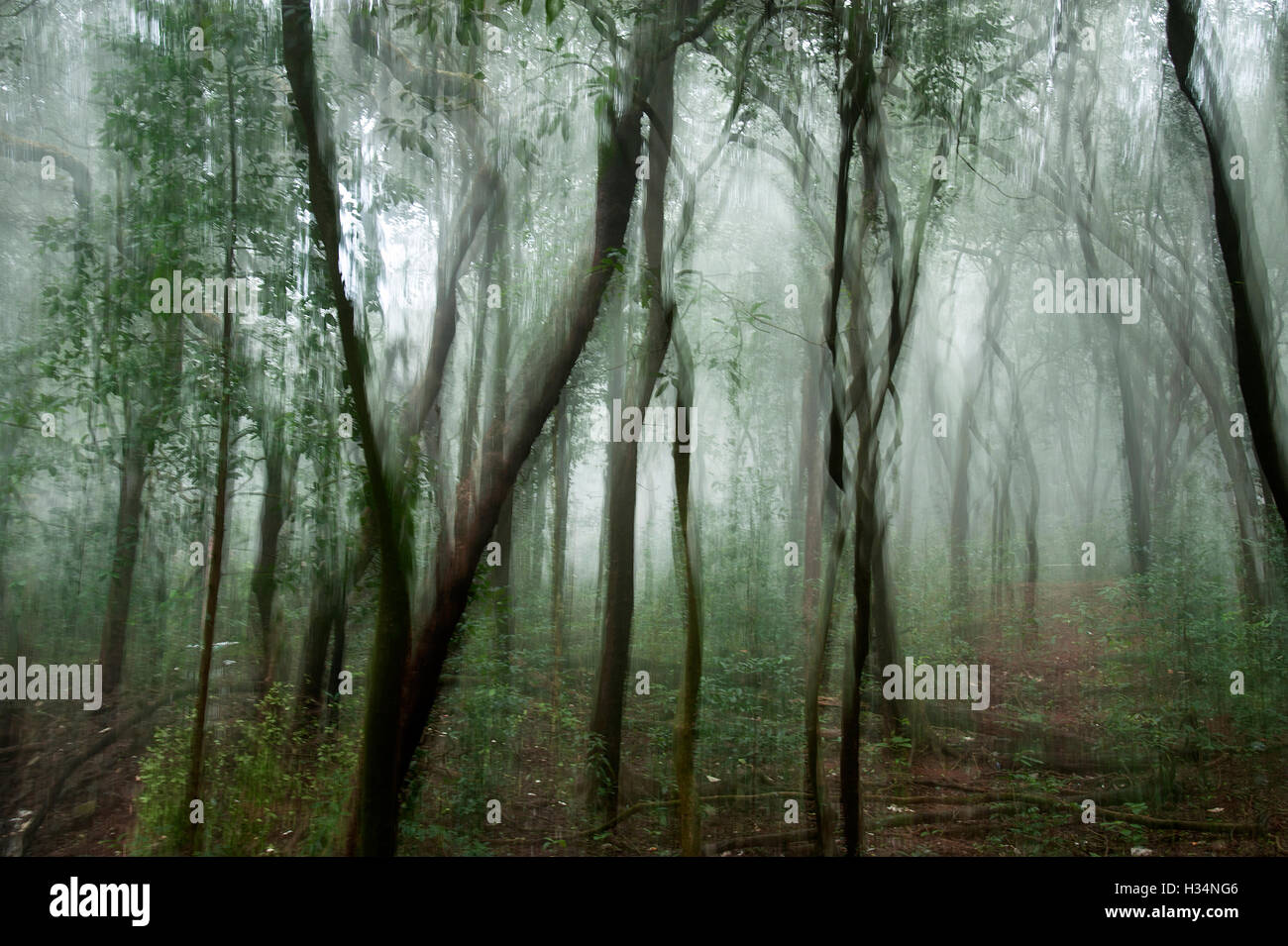 Western ghats trees landscape of matheran hi-res stock photography and ...