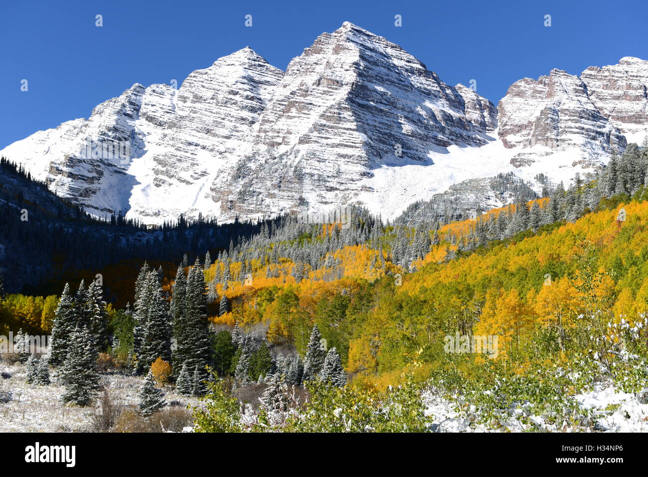 September bells hi-res stock photography and images - Alamy