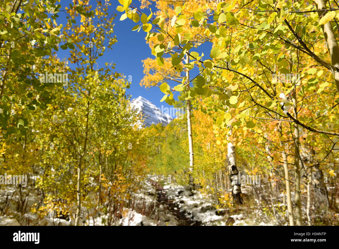 Aspen trail hi-res stock photography and images - Alamy
