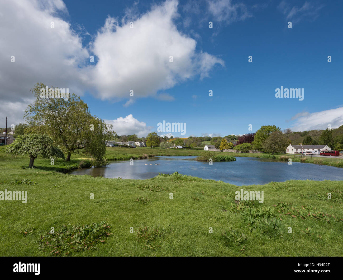 Duck pond and village england hi-res stock photography and images - Alamy