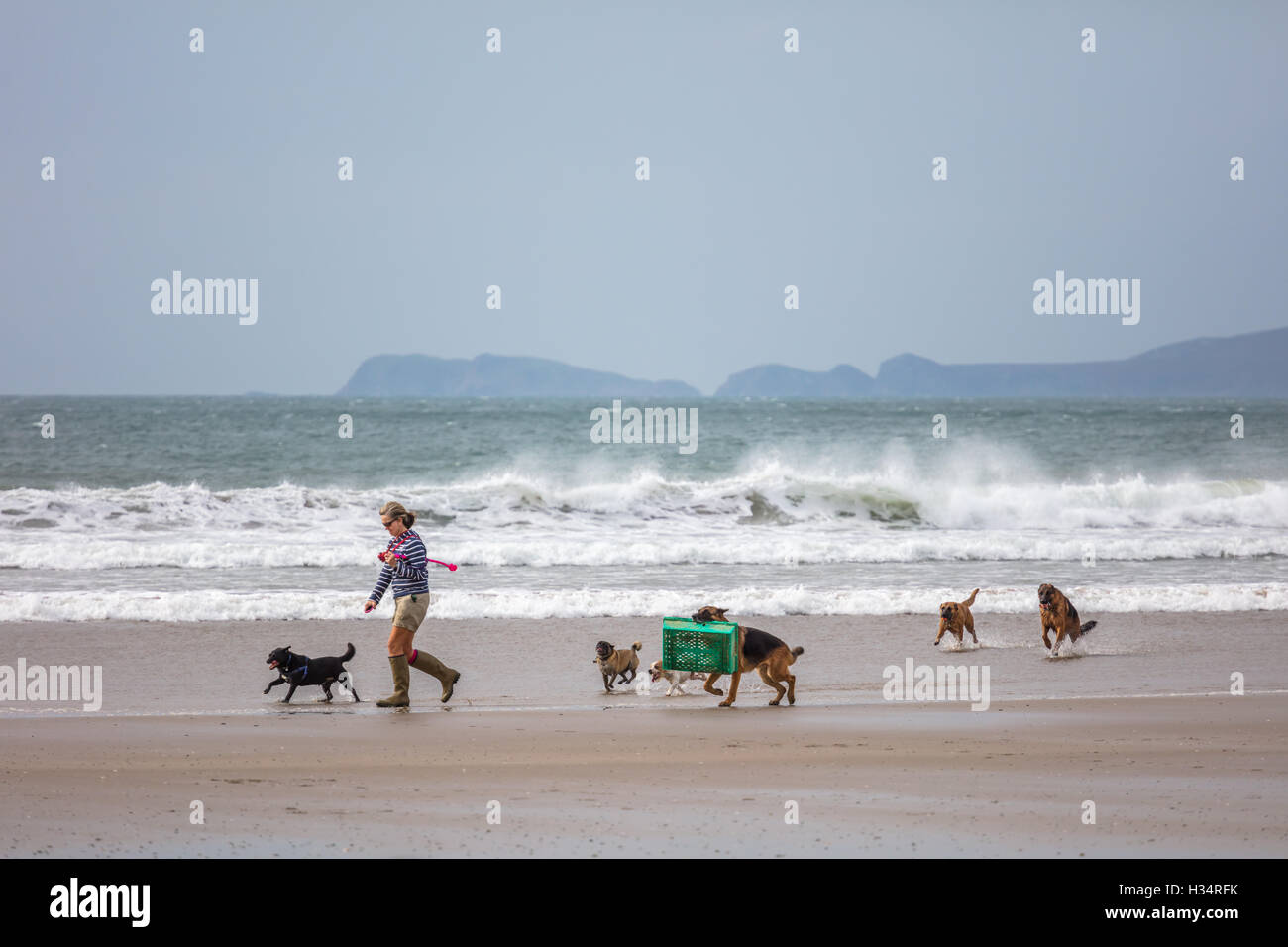Gusting hi-res stock photography and images - Alamy
