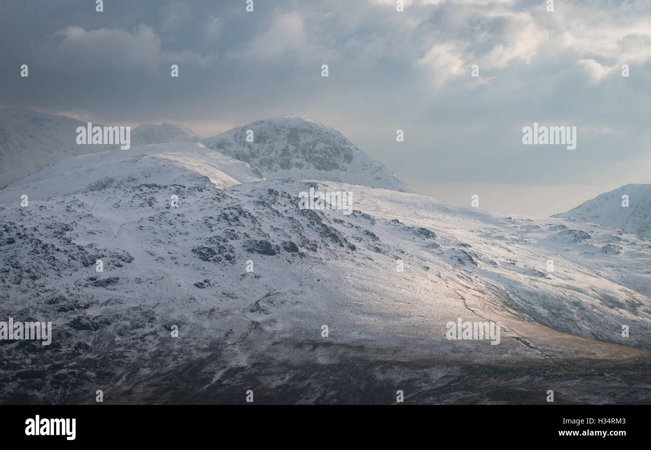 Brandreth hi-res stock photography and images - Alamy