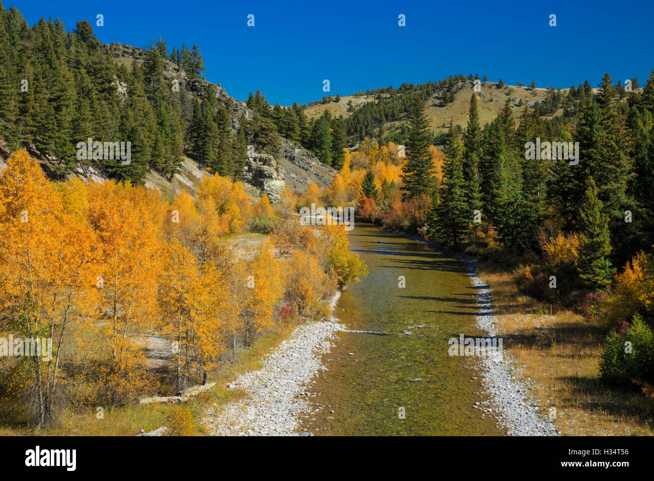 fall colors along the dearborn river below the rocky mountain front ...