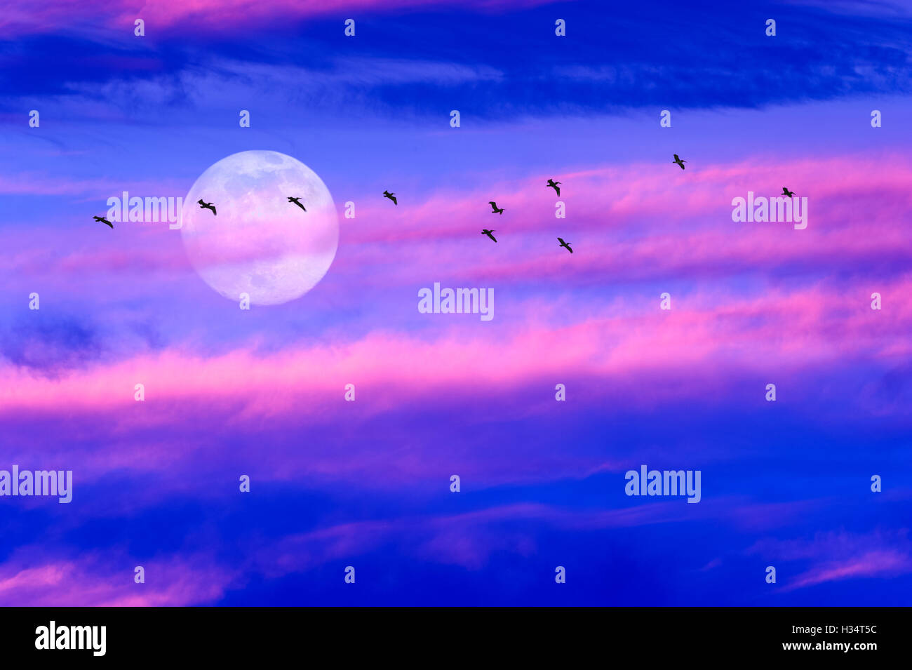 Moon Birds is a colorful surreal cloudscape with a flock of silhouetted ...